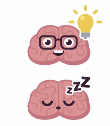 Waking Up Your Sleepy Brain - The Brain Bunch