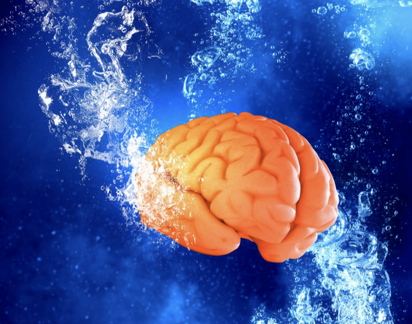 The Ocean of Knowledge: How Water Impacts Your Brain - The Brain Bunch